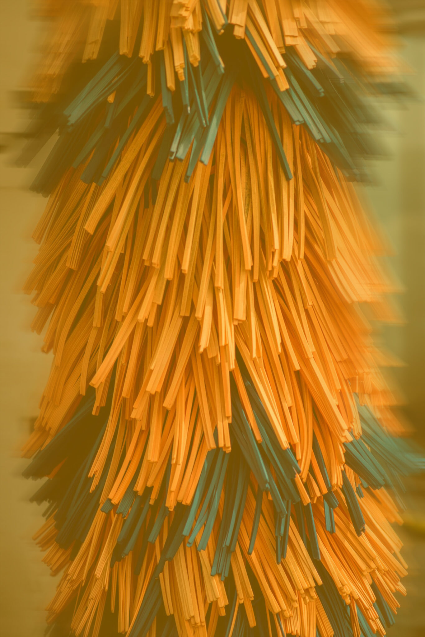 About Citrus Valley - Citrus Valley Car Wash | Florida